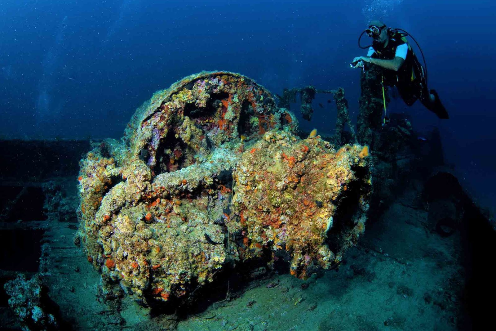 Forgotten Shipwrecks: The Ghosts of Gallipoli