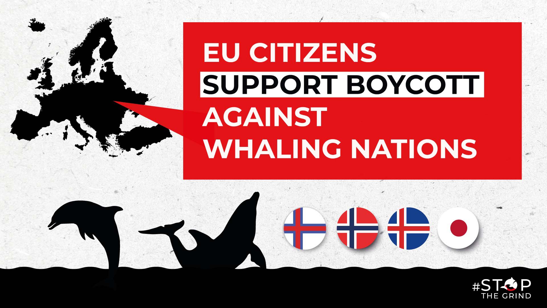 ‘We didn’t know!’ Dolphin slaughter ignorance revealed