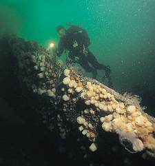 Wreck Tour 35: The Rondo