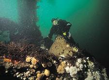 Wreck Tour 35: The Rondo