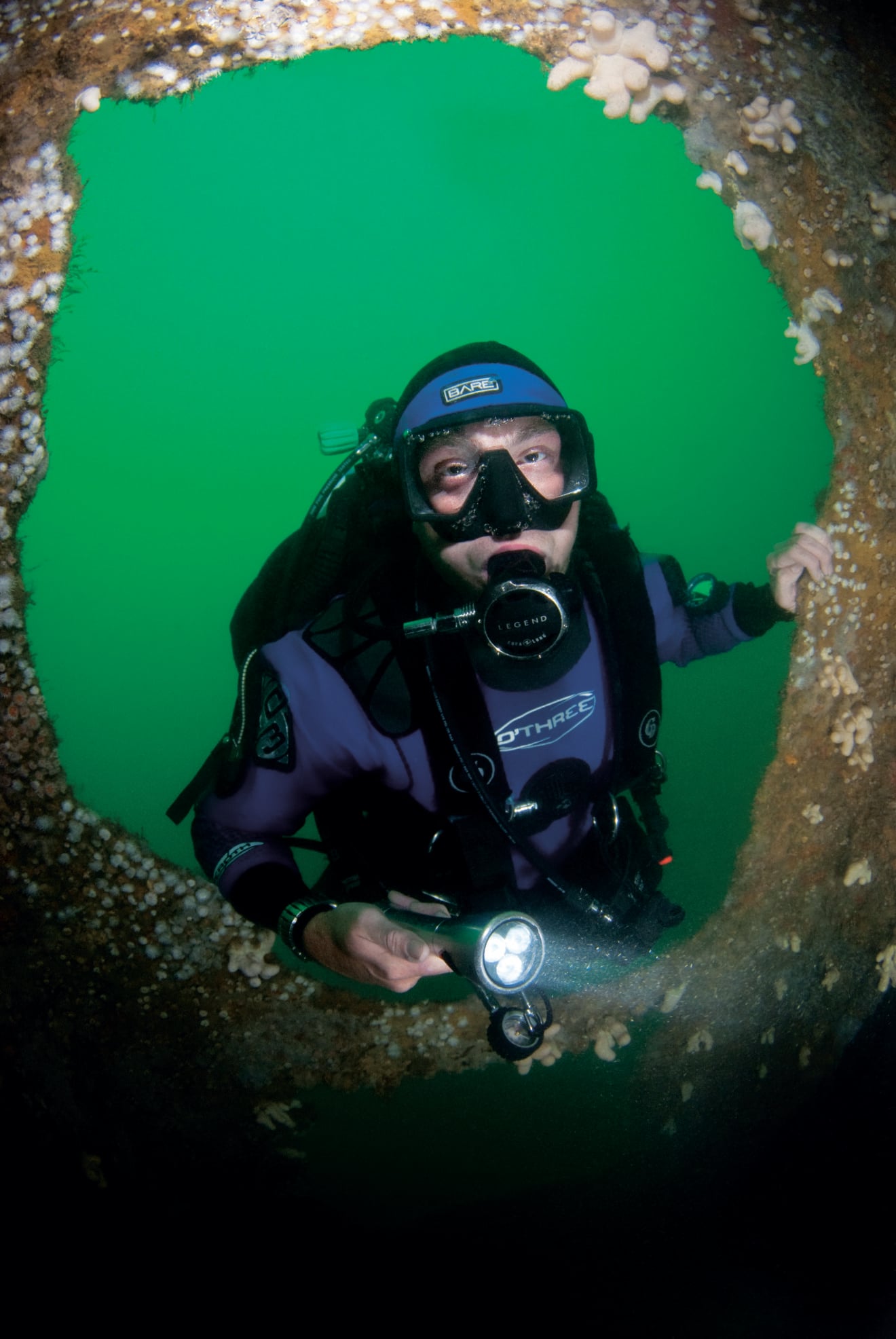 Why Dorset dive Kyarra is a national treasure
