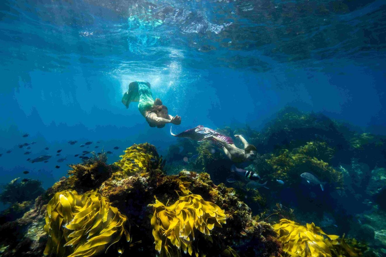 Mermaids highlight 10 NZ dive locations