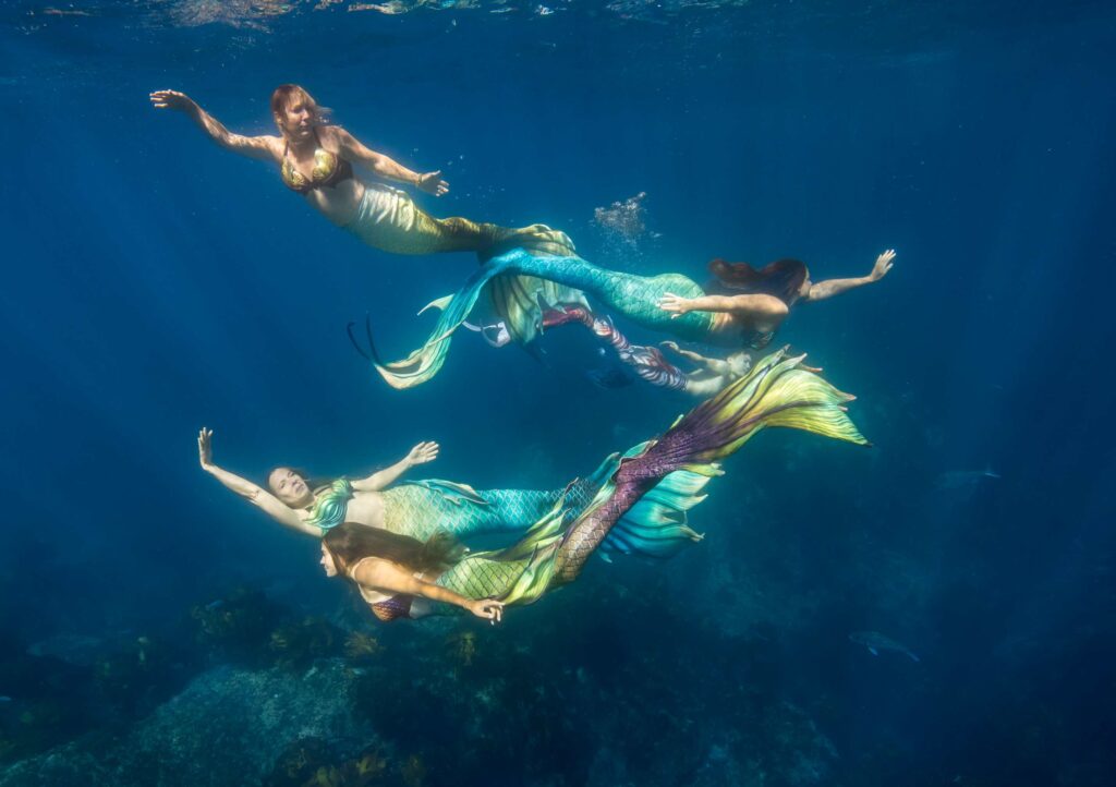 Mermaids highlight 10 NZ dive locations