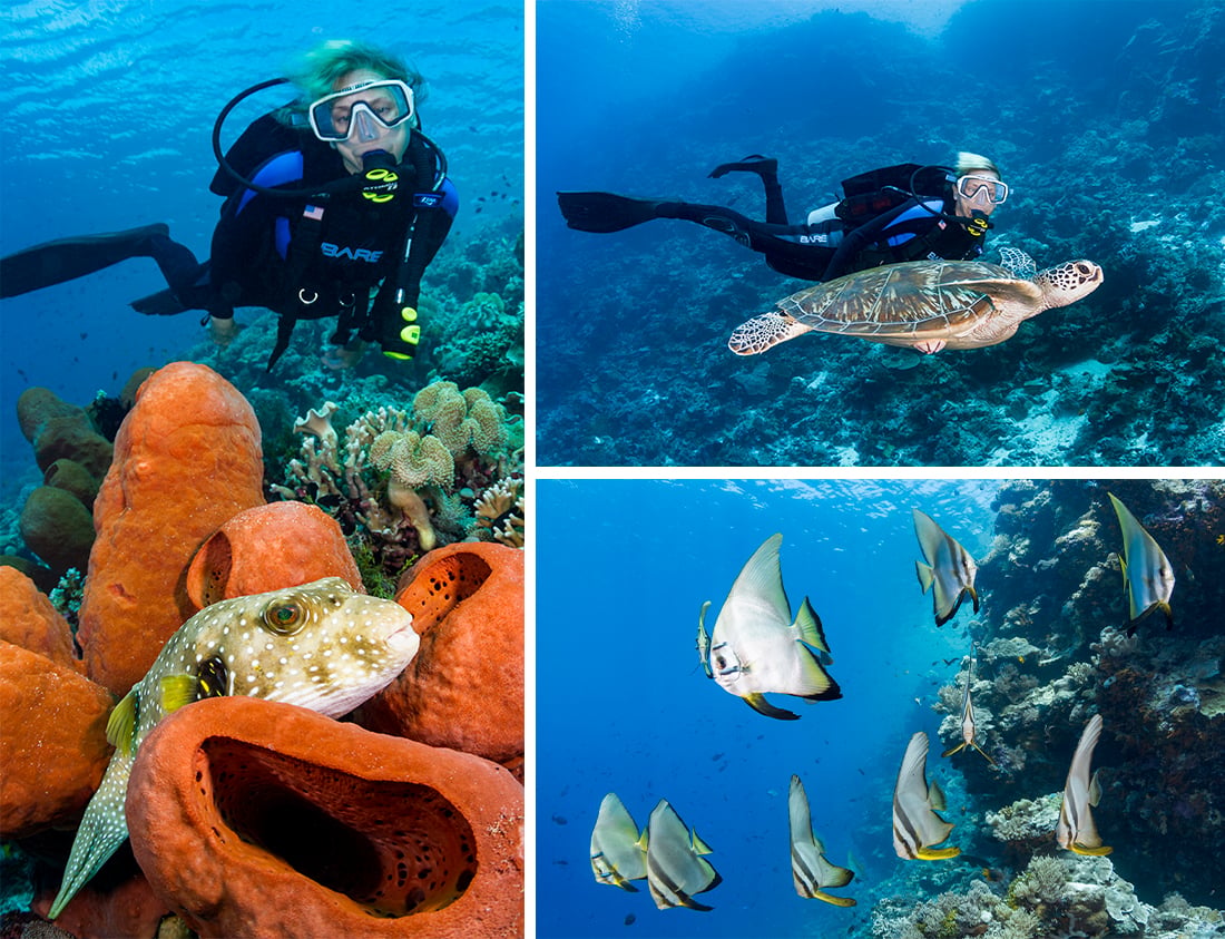 Wakatobi’s Turkey Beach – Dive Site #1