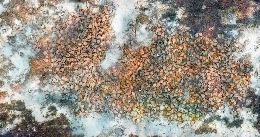 Calmed nerves unlock ancient Greek dive-sites