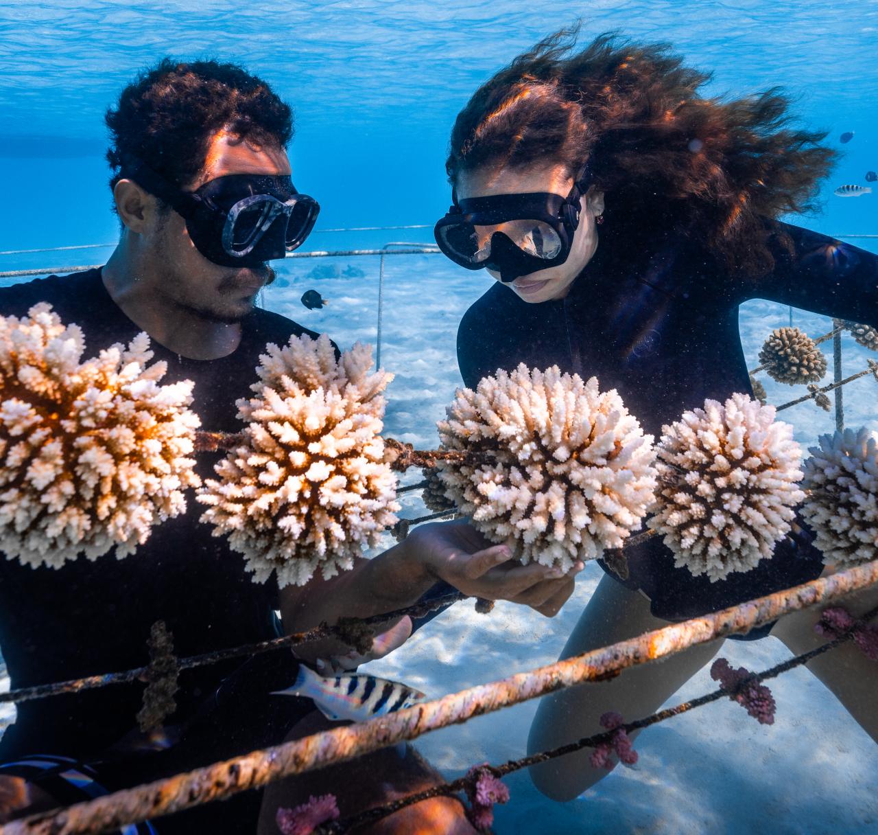 Avatar actor spends June with Coral Gardeners