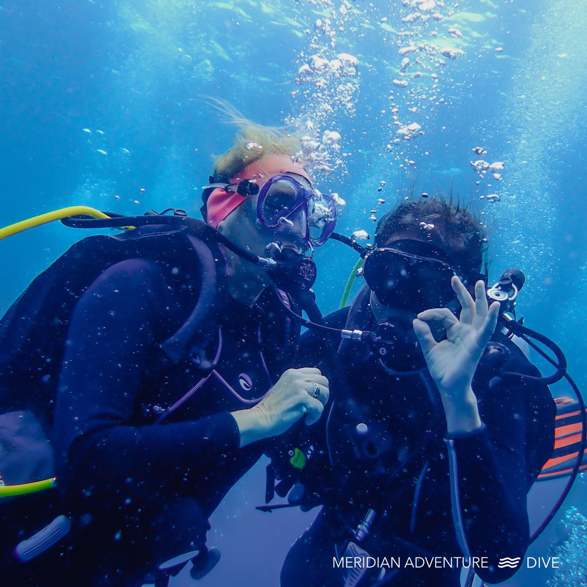 The Importance of Having a Diving Buddy