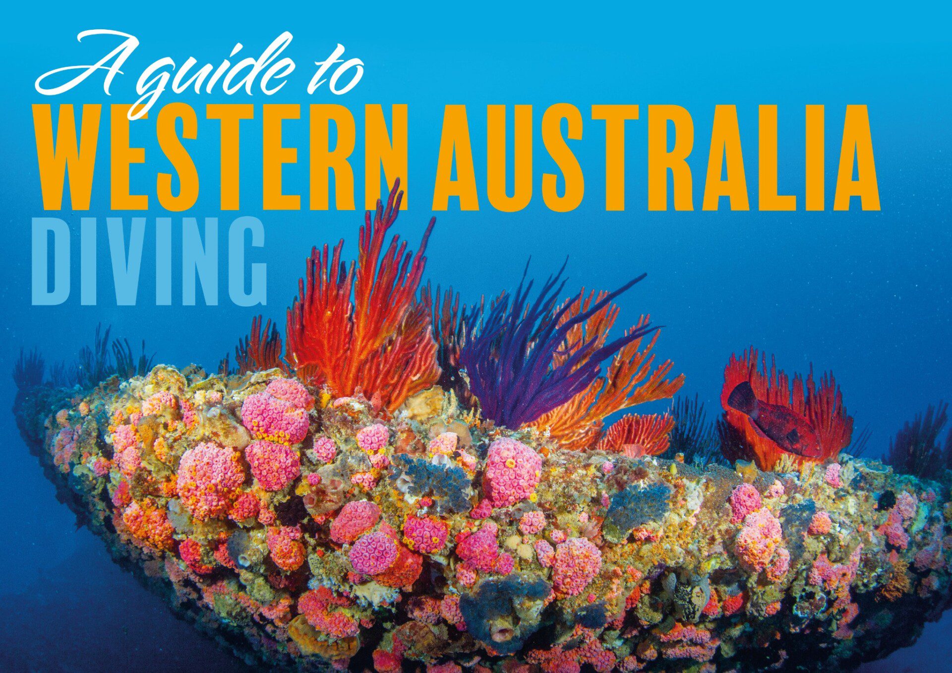 Diving Western Australia: Ningaloo to Albany — Reefs, Wrecks & Wildlife