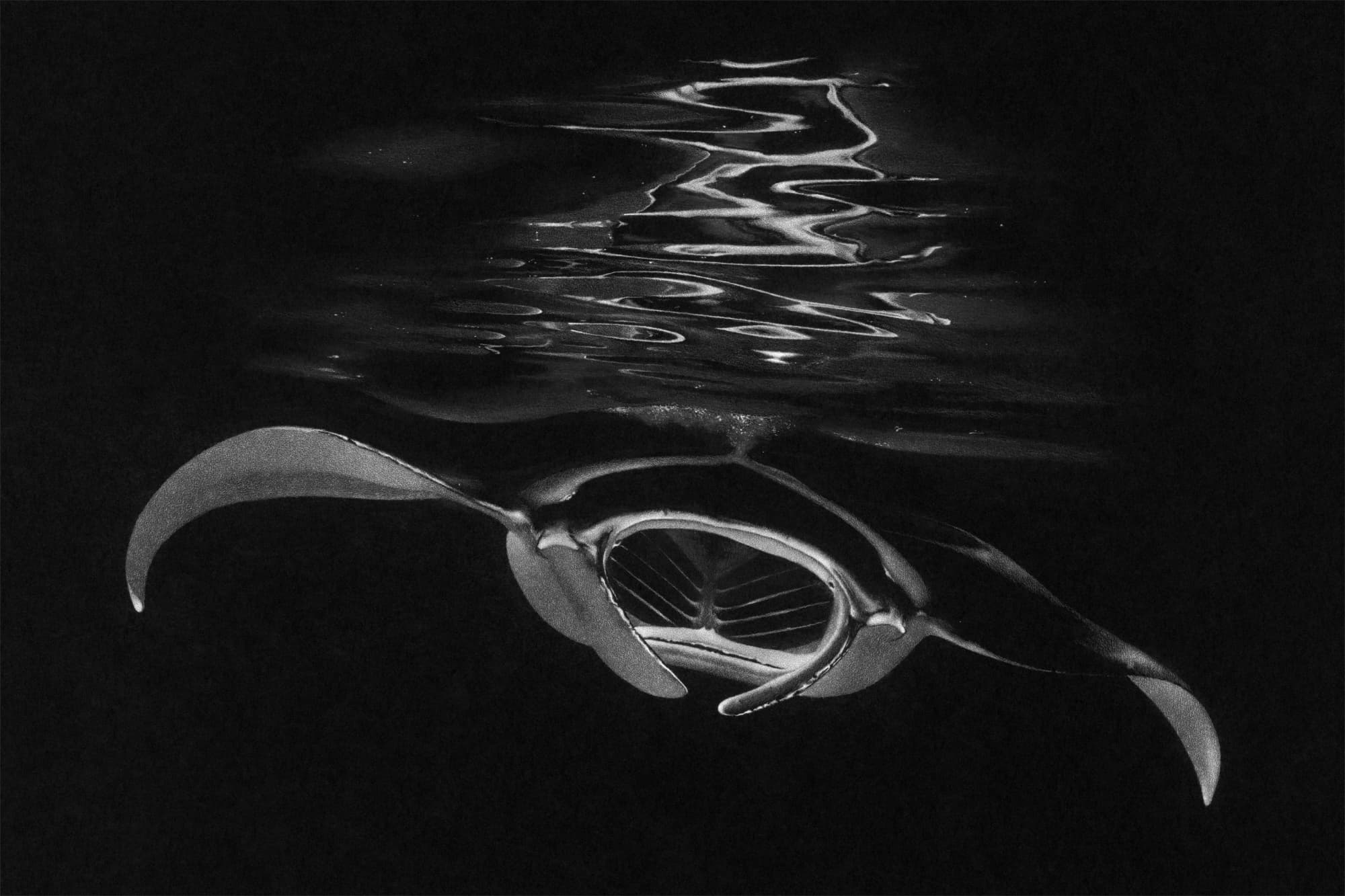 The Amazing Artwork of David Allen