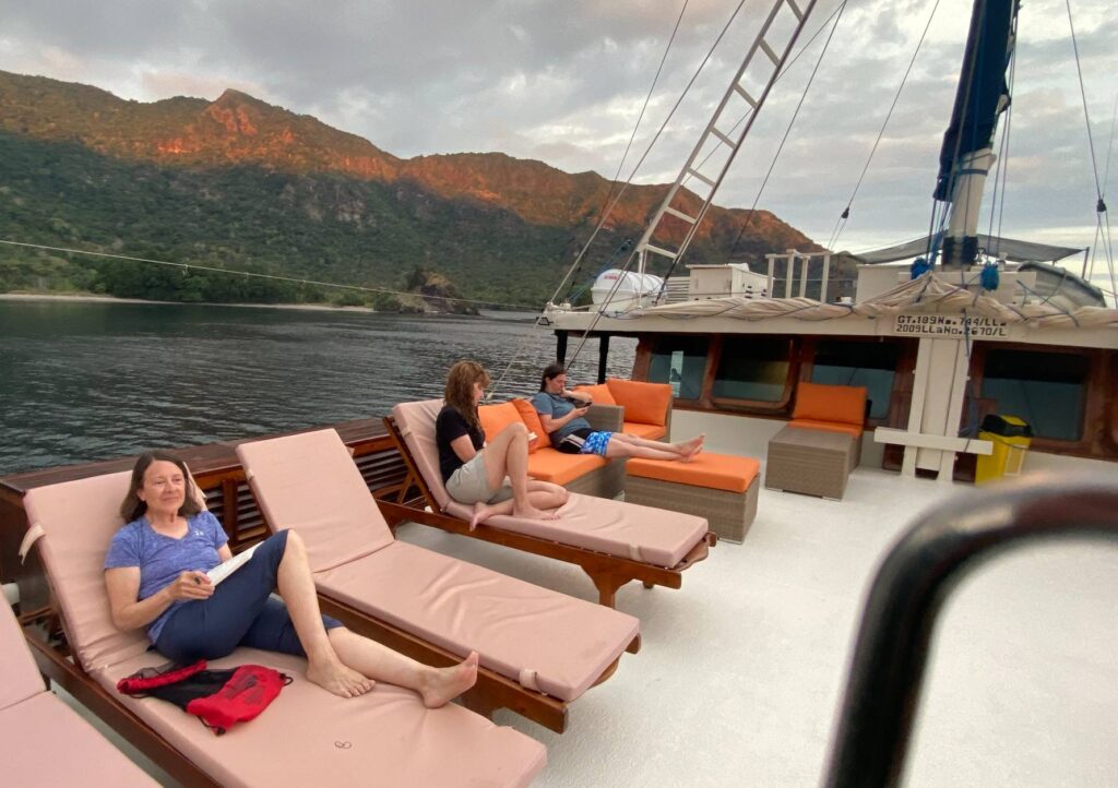 Female diver’s body parts found in shark