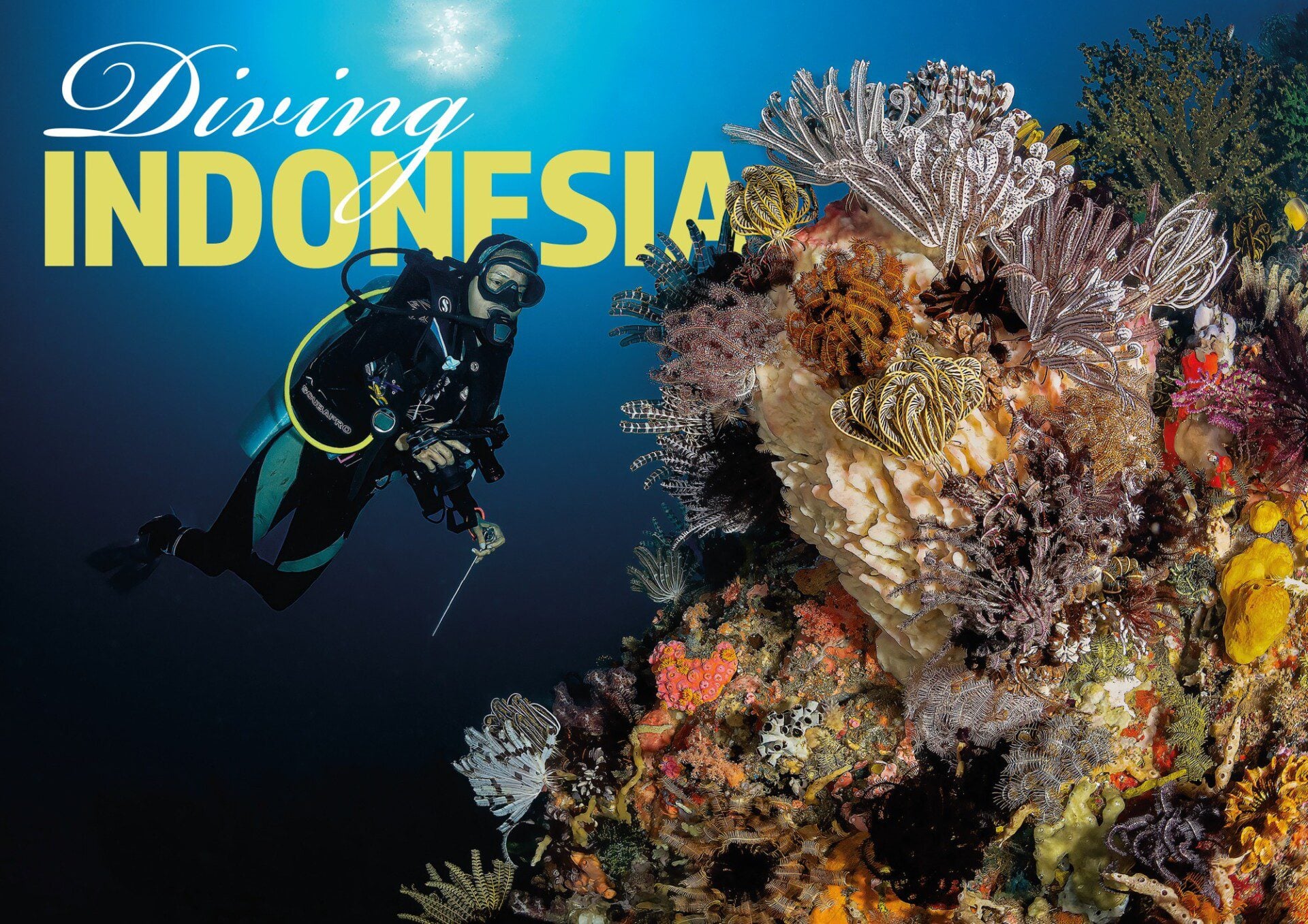 Diving Indonesia: An Overview of the World’s Largest Archipelago