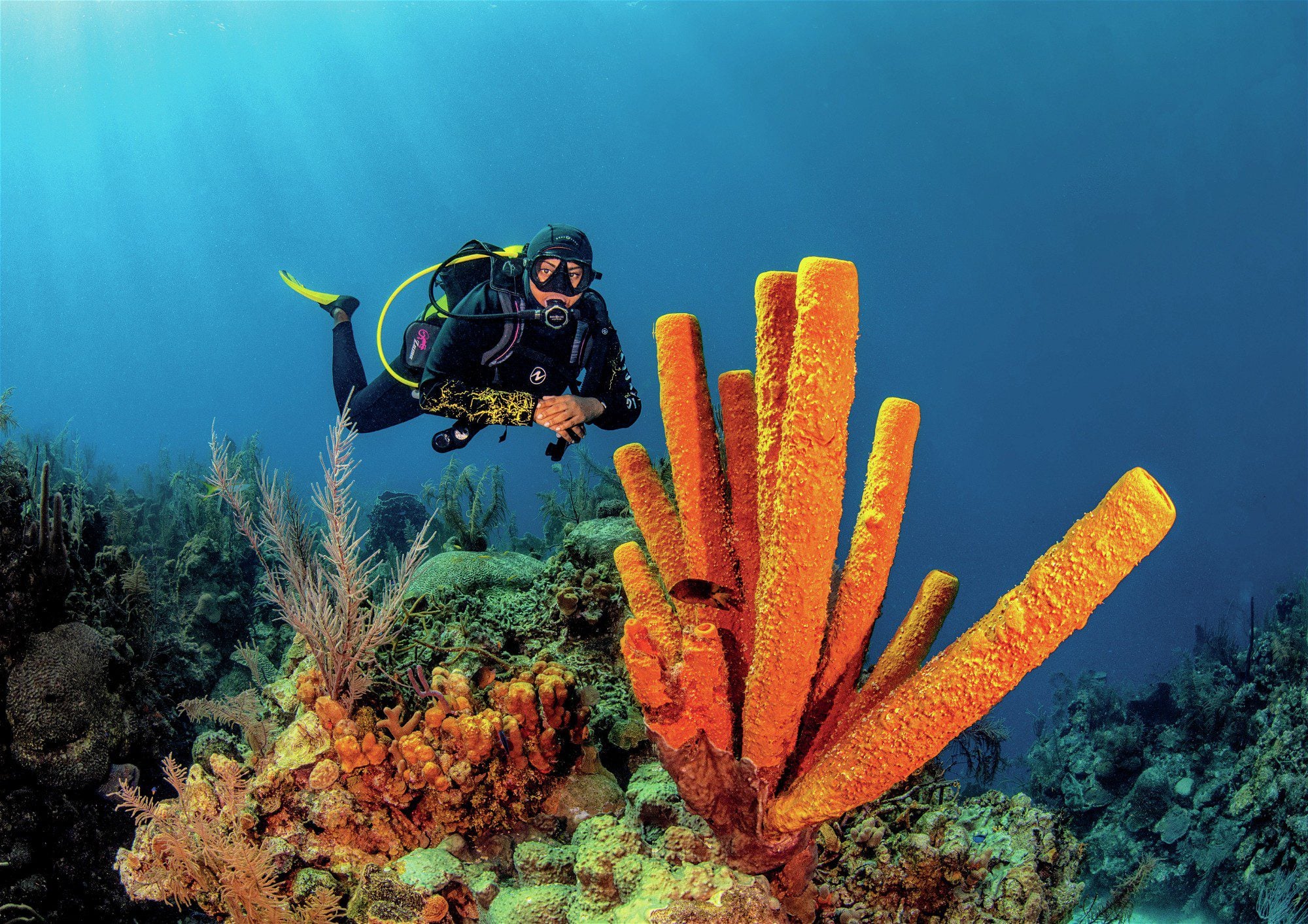 Diving in the Eye of the Storm: Byron Conroy's Belize Journey