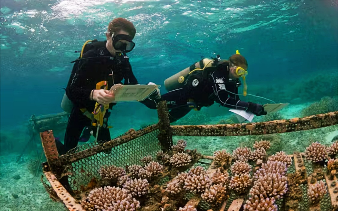 Divernet | Scuba Diving | Scuba News | Scuba Gear | Underwater Photography