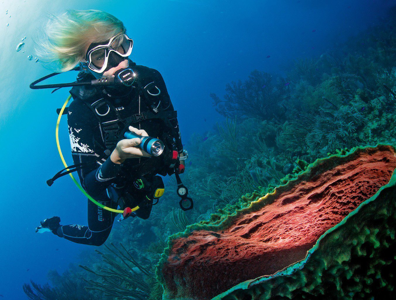 Mastering Buoyancy Check: The Key to Safe and Enjoyable Diving