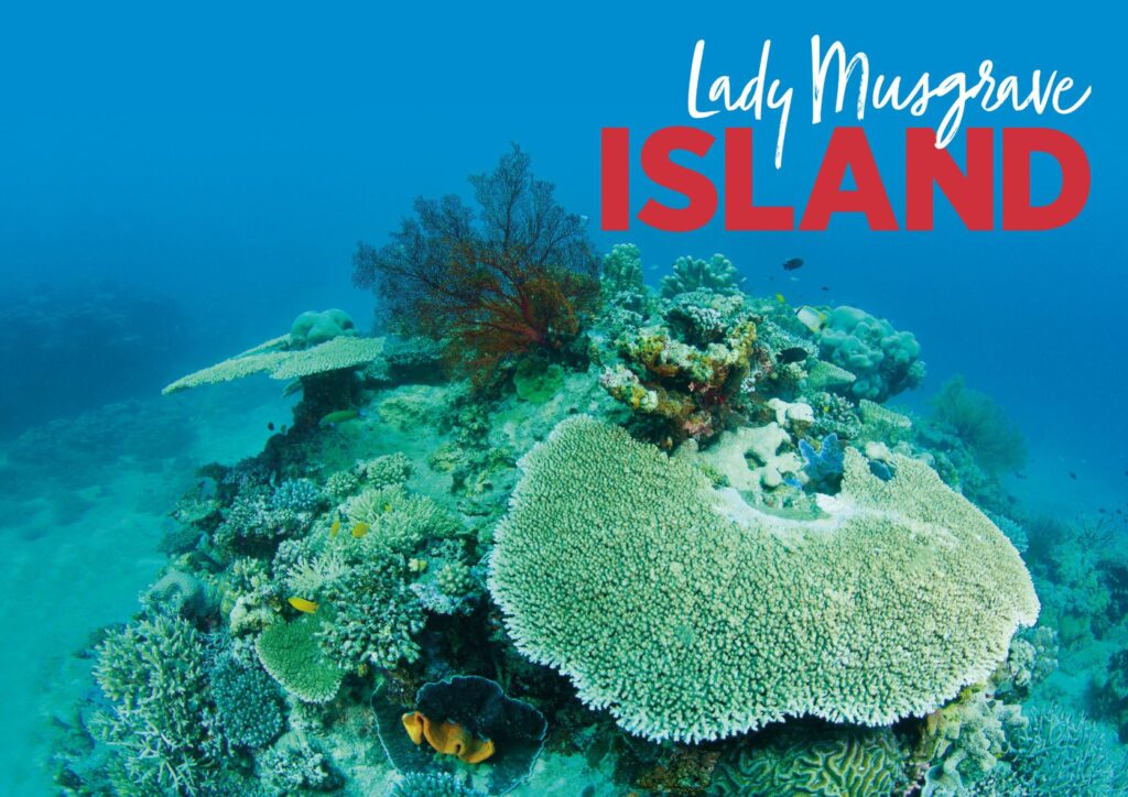 Adrian Stacey's Overnight Dive Adventure at Lady Musgrave Island ...