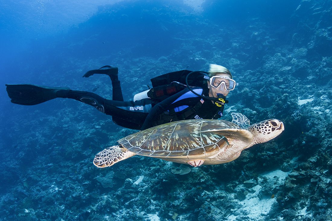 Diving Your Way at Wakatobi