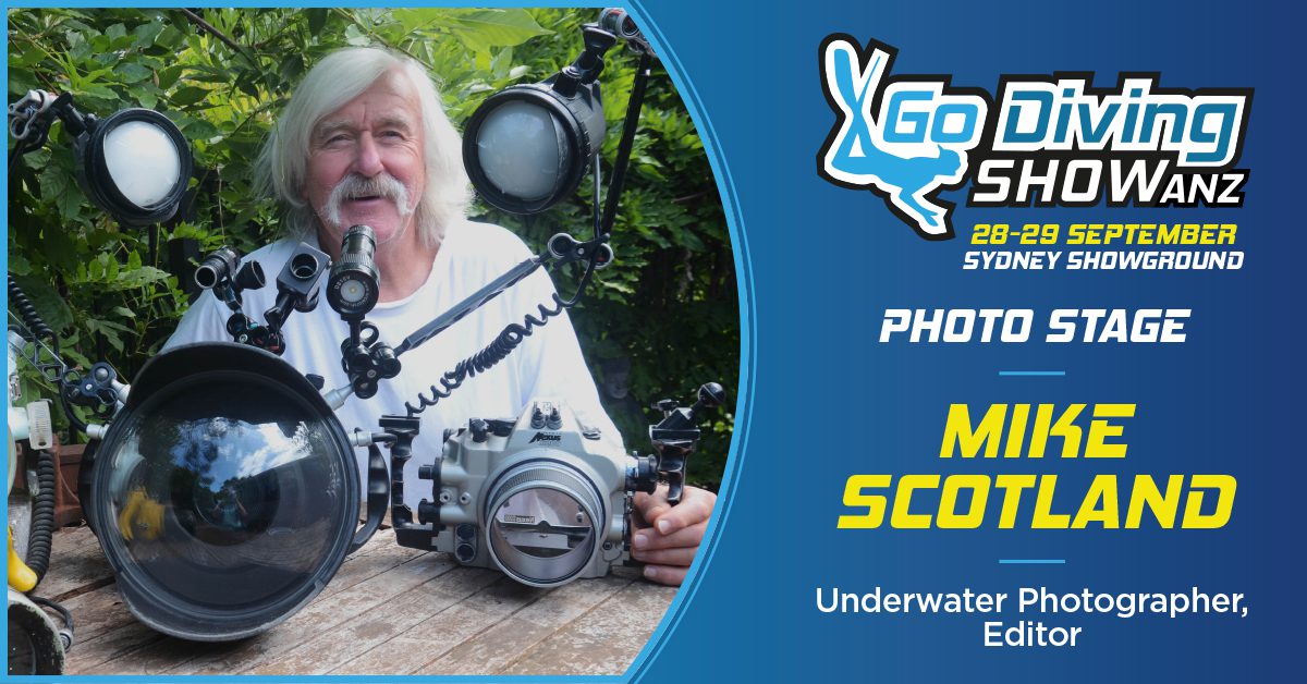 Marine biology 'in the wild' with Mike Scotland