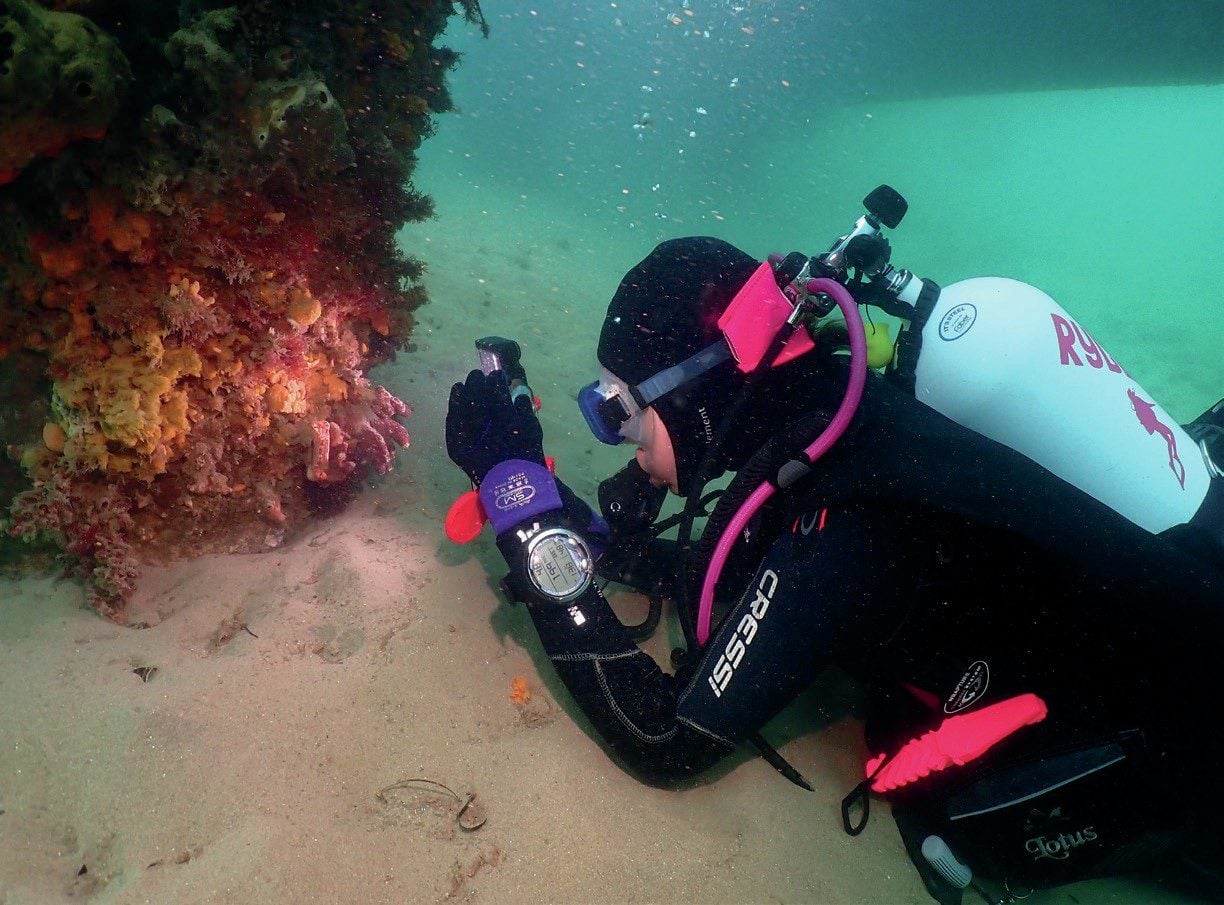 Diving With Young Open Water Divers – Inspiring Stories of Ryleigh ...