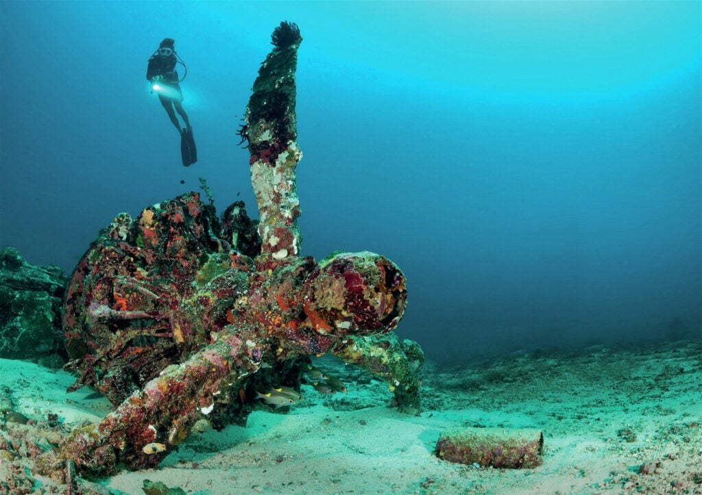 Discover Kavieng: Papua New Guinea's Scuba Diving Paradise