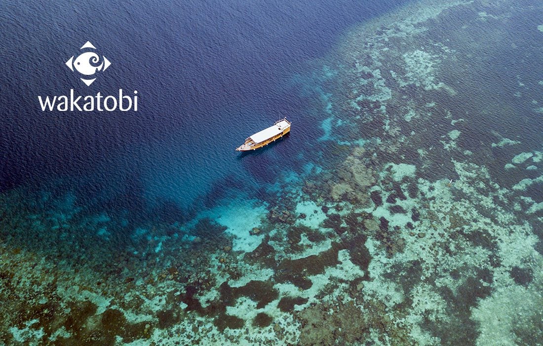 Wakatobi's Double Dip Diving Experience