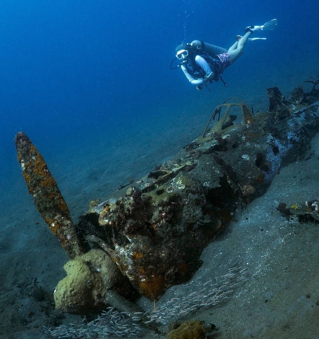 Uncover WWII History: Diving & Exploring the Solomon Islands