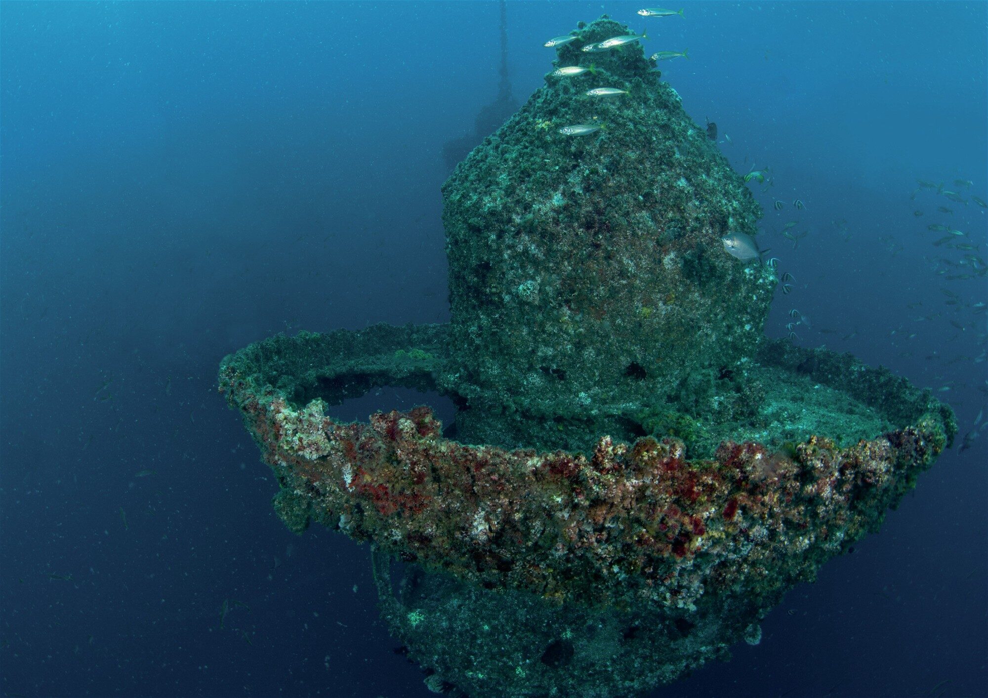The Wonder of Queensland's Floating Artificial Reef