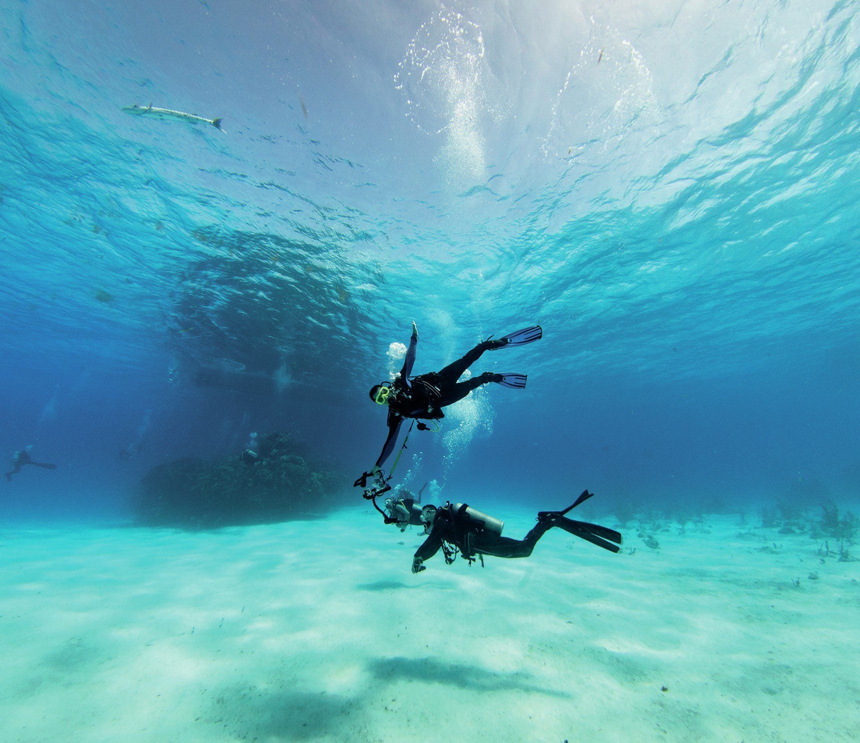 Stress to Serenity: The Transformative Power of Breath & Diving