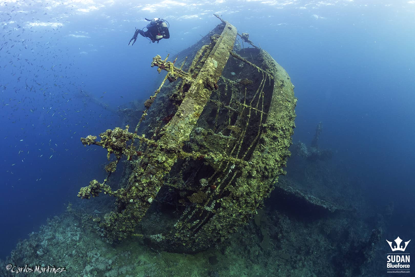 Scuba Diving Umbria Wreck in Sudan
