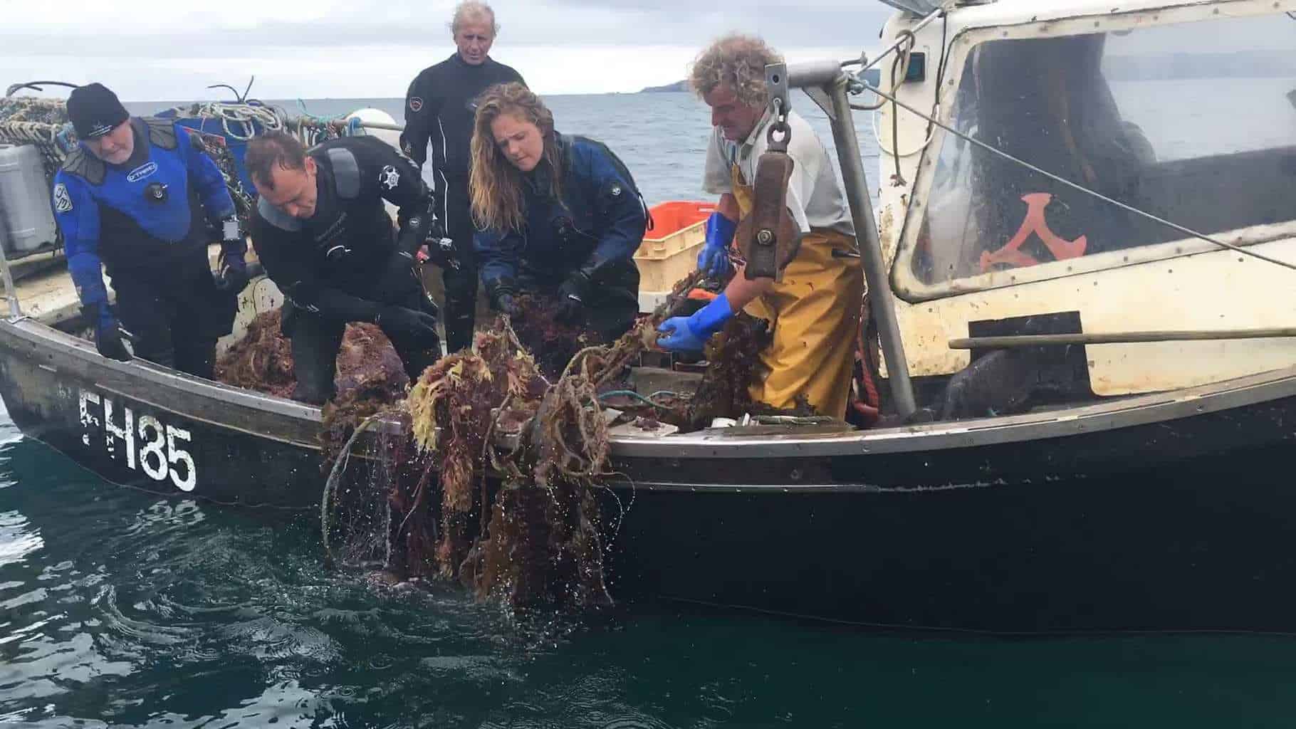 Divers and fishermen join forces to remove killer net