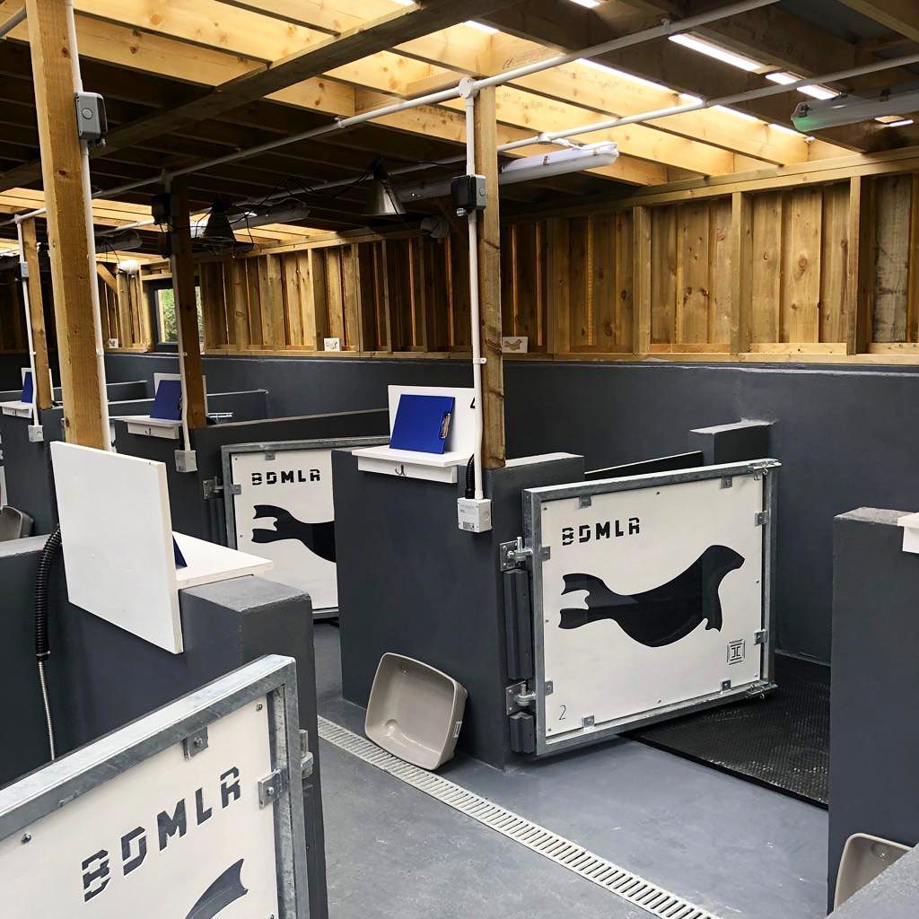 BDMLR opens seal hospital in Cornwall