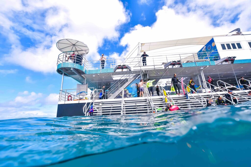 Great Barrier Reef New Reef Magic Pontoon
