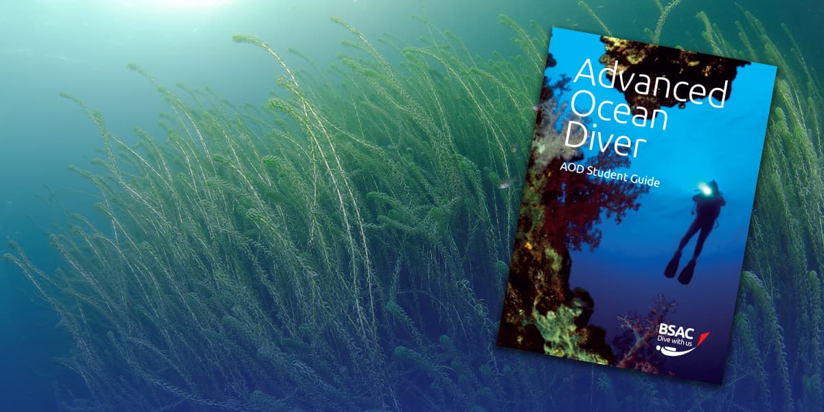 BSAC launches Advanced Ocean Diver course