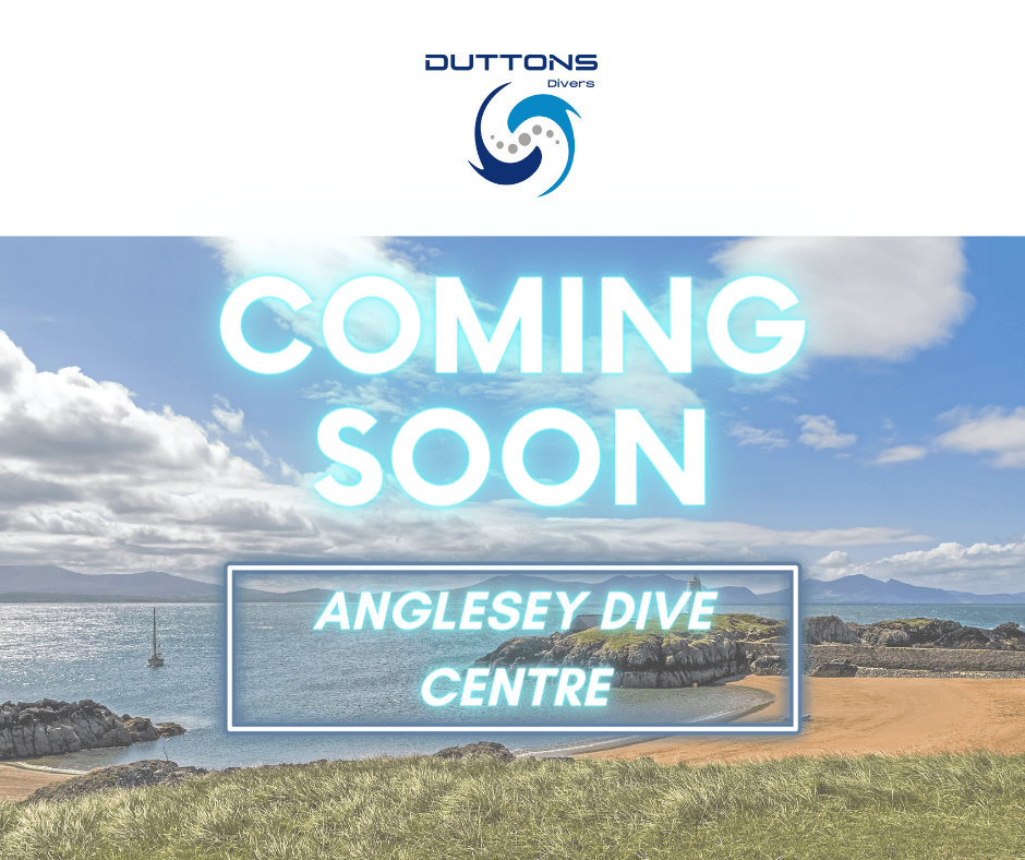 New Anglesey dive centre opening in 2023