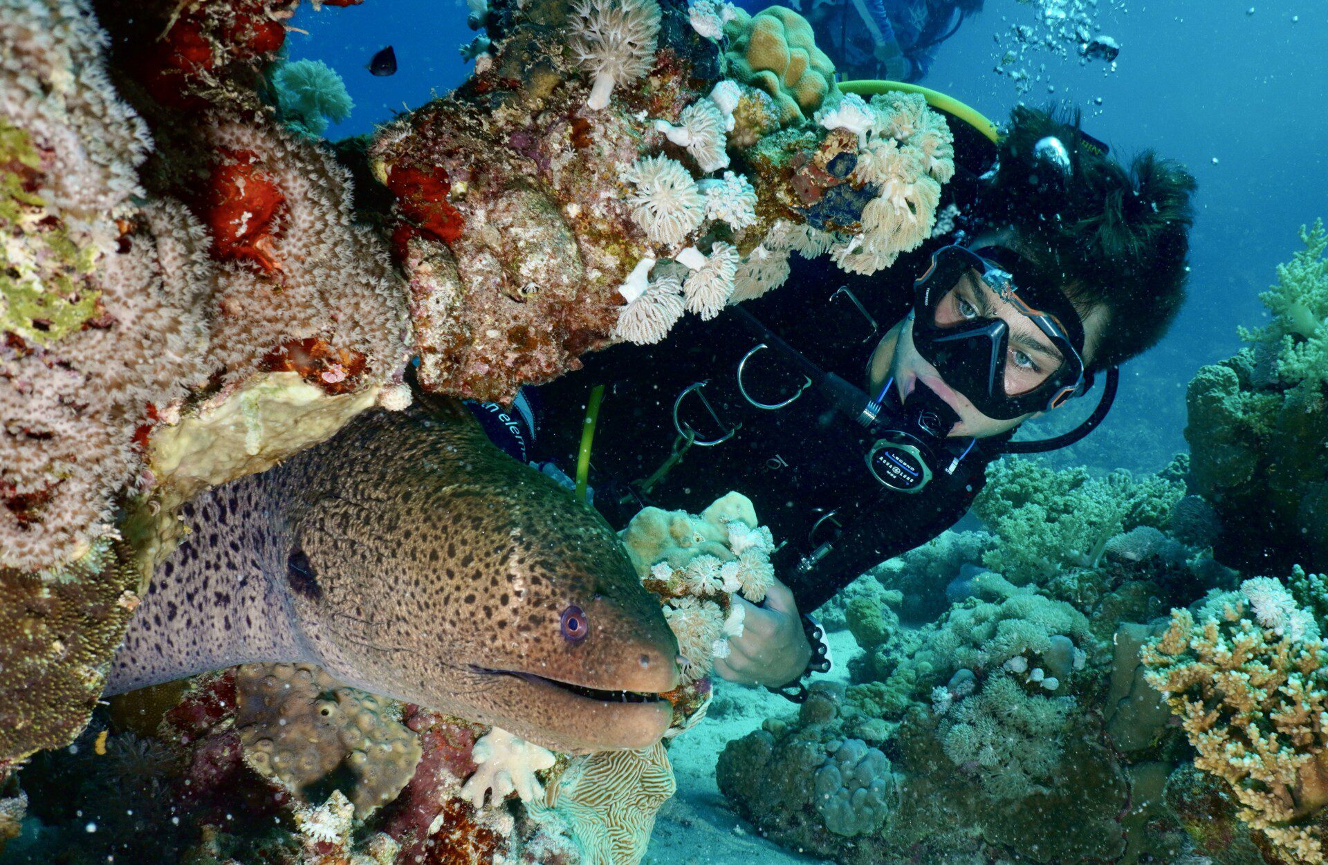 Roots Red Sea unveils family summer camp