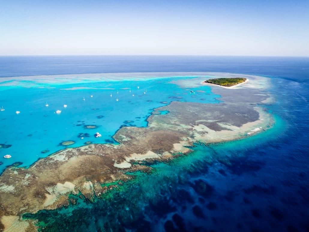 Protecting the Reef Ecosystem – Lady Musgrave Experience