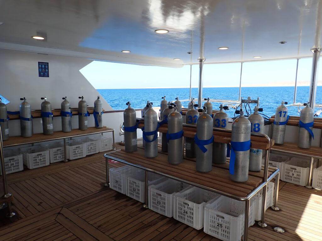 Big Blue takes to the Red Sea