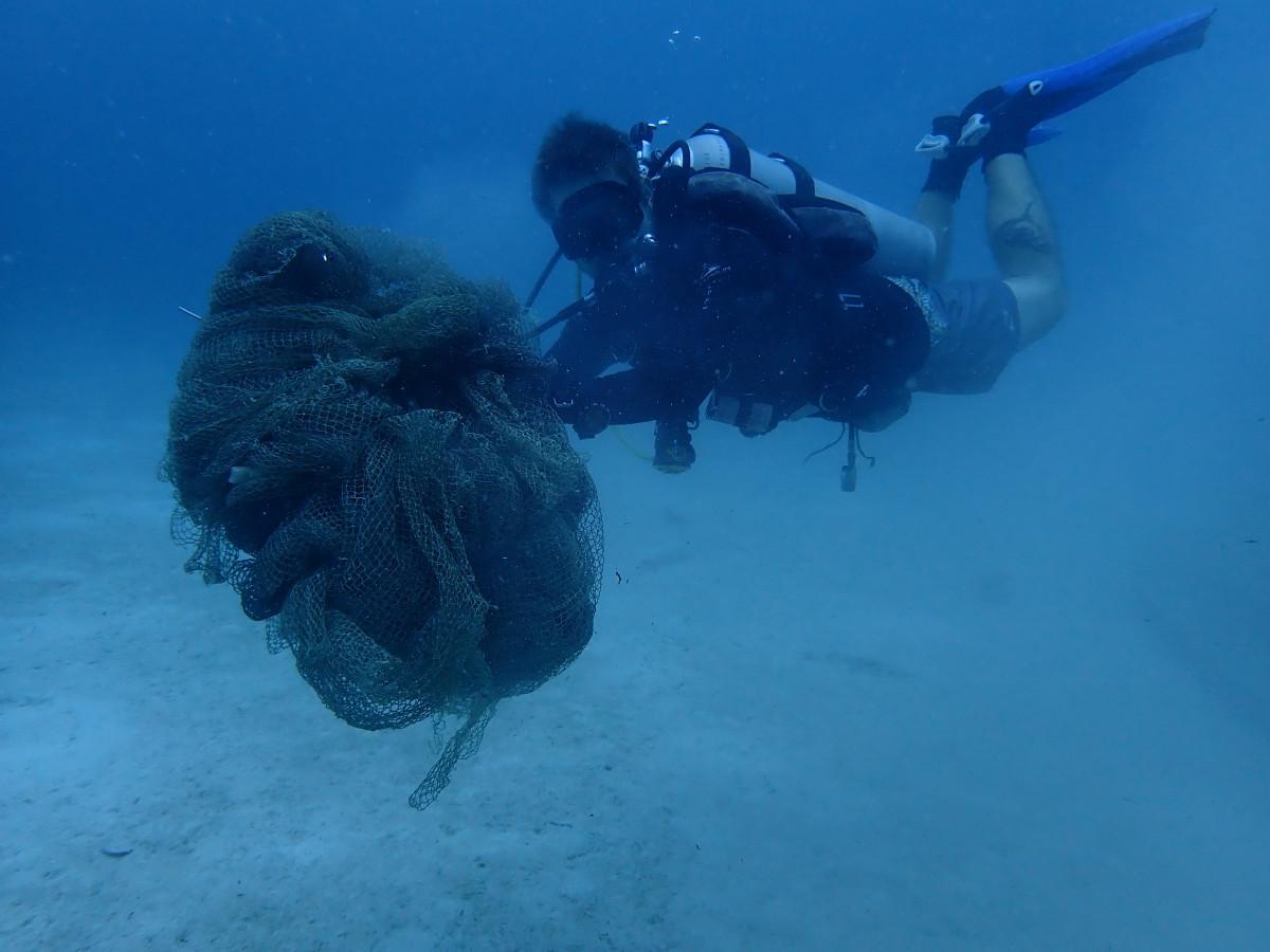 Divers are giving back