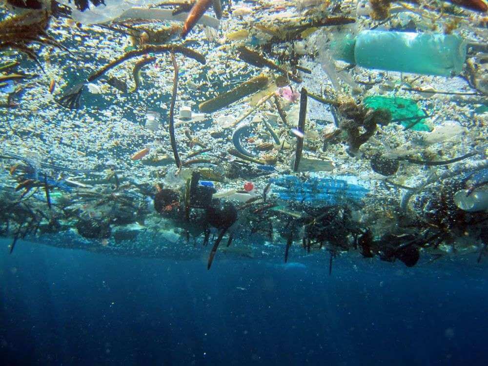 Coke & Pepsi Sued over Plastic Pollution