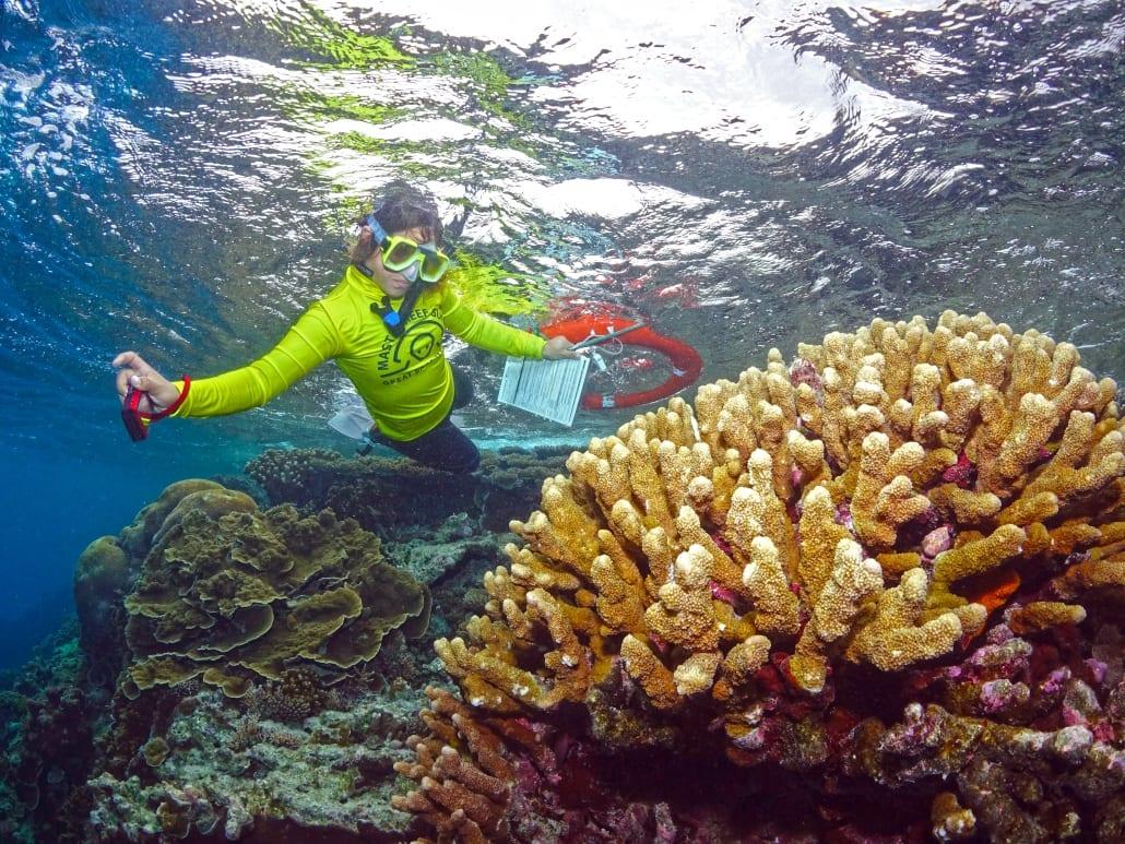Master Reef Guides – Lady Musgrave Experience