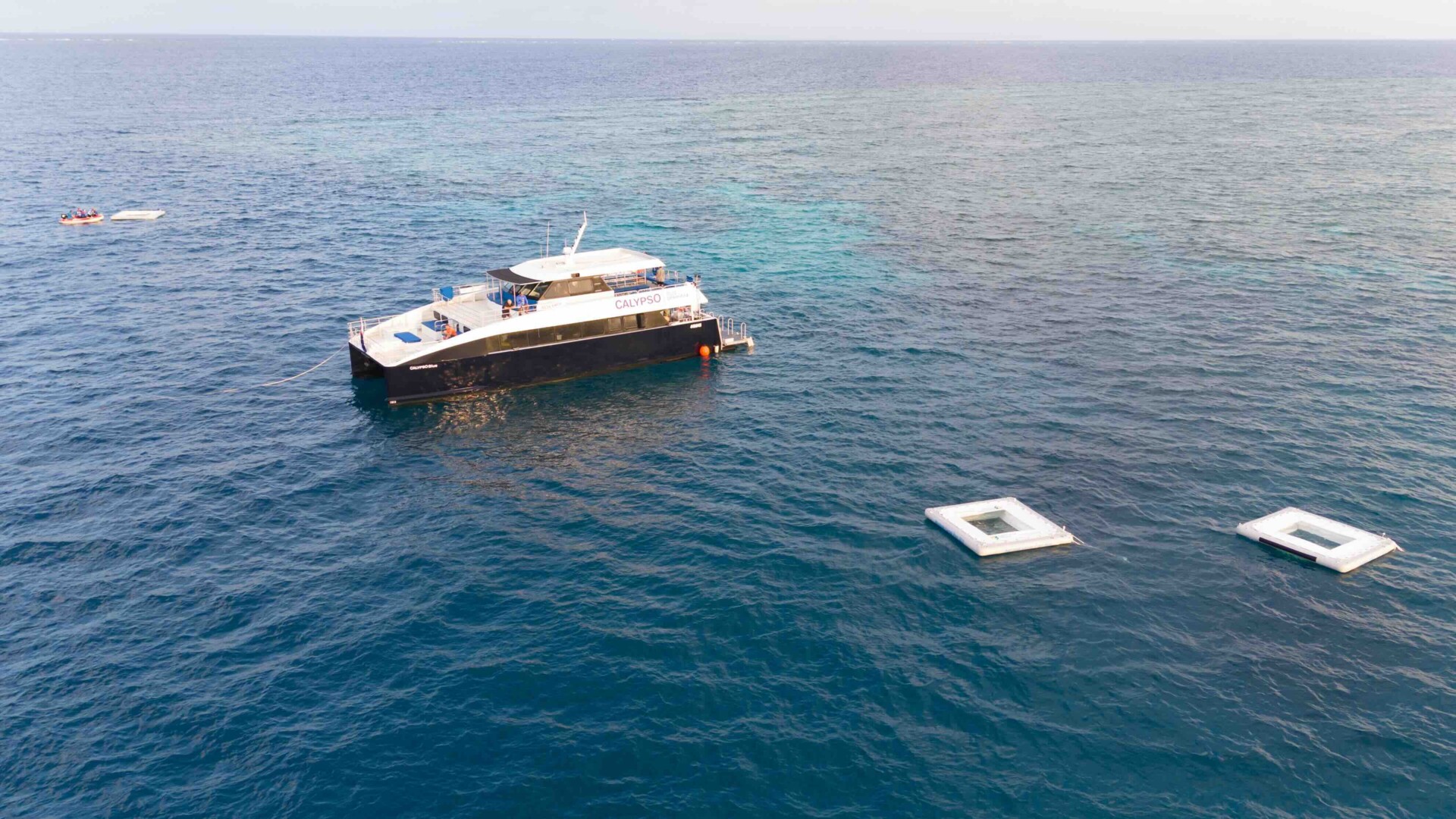 Coral Spawning on the Great Barrier Reef