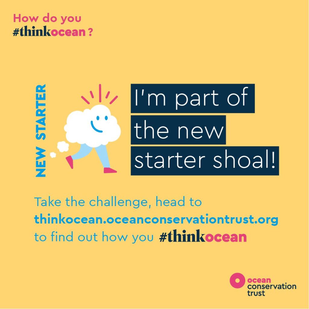 Ocean Conservation Trust launches #ThinkOcean Challenge