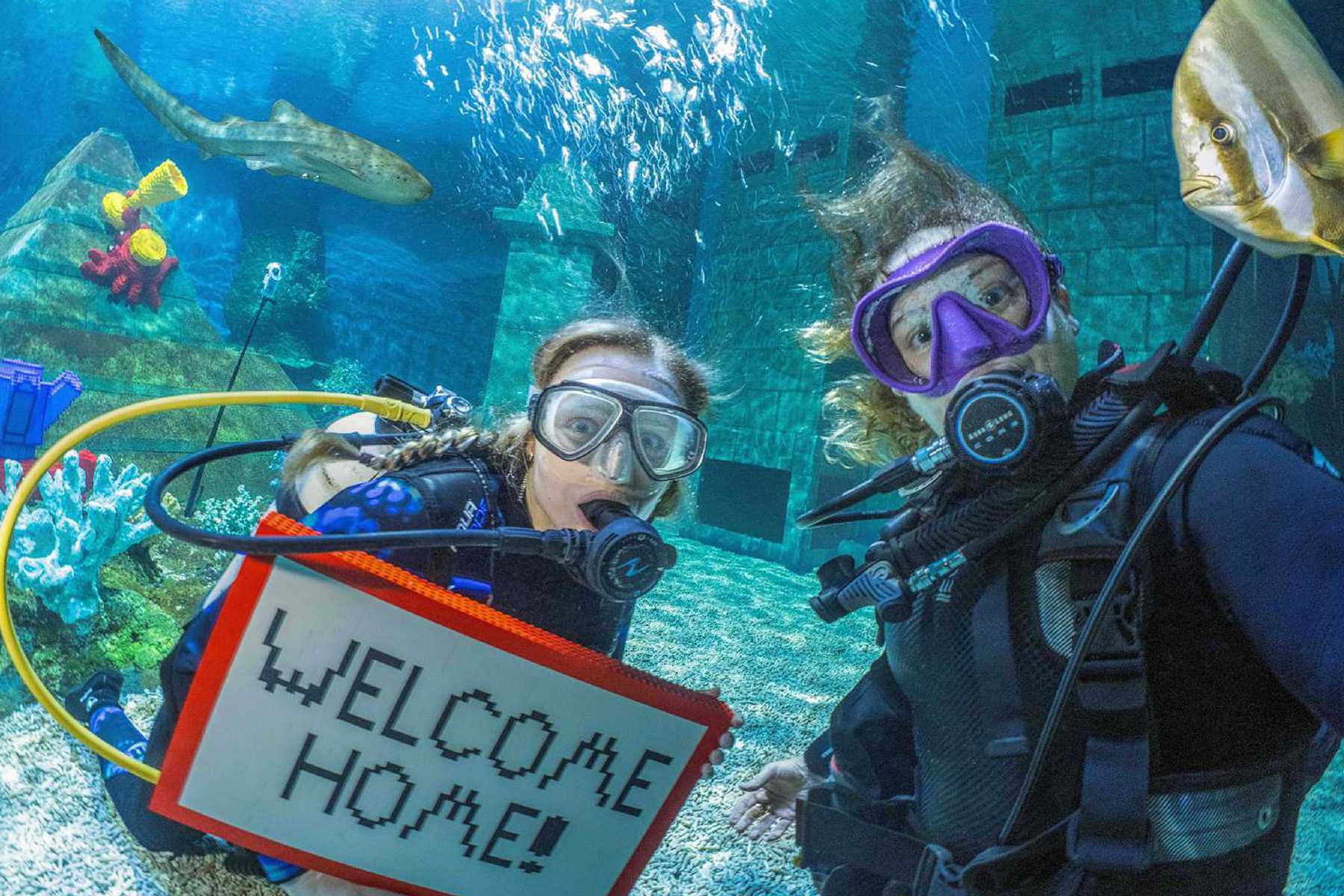 Jenny Stock dives into Legoland adventure