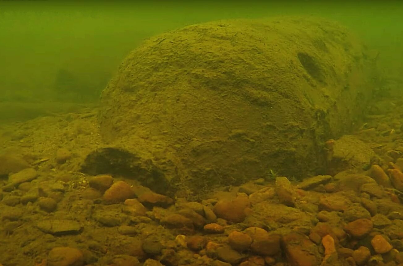 Diver discoveries: Meg tooth in Florida, bombs in UK