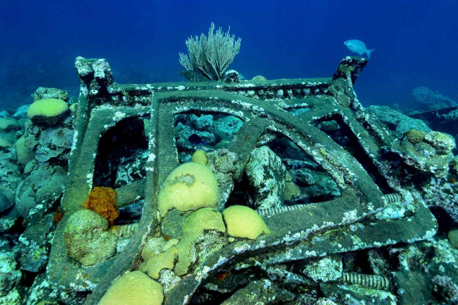 Diving the Bermuda (Triangle) shipwrecks