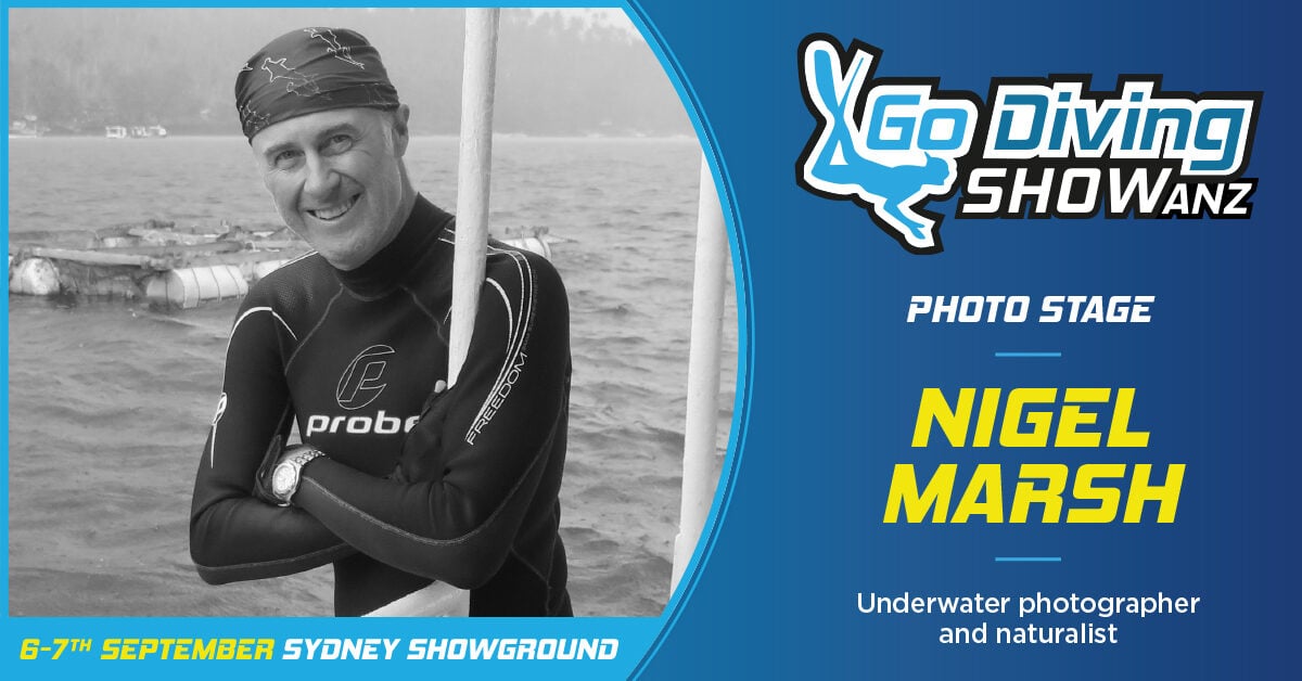Weird-and-wonderful fish with Nigel Marsh