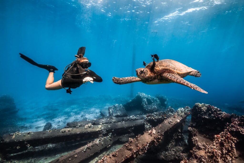 Scuba News | Latest diving news & discoveries