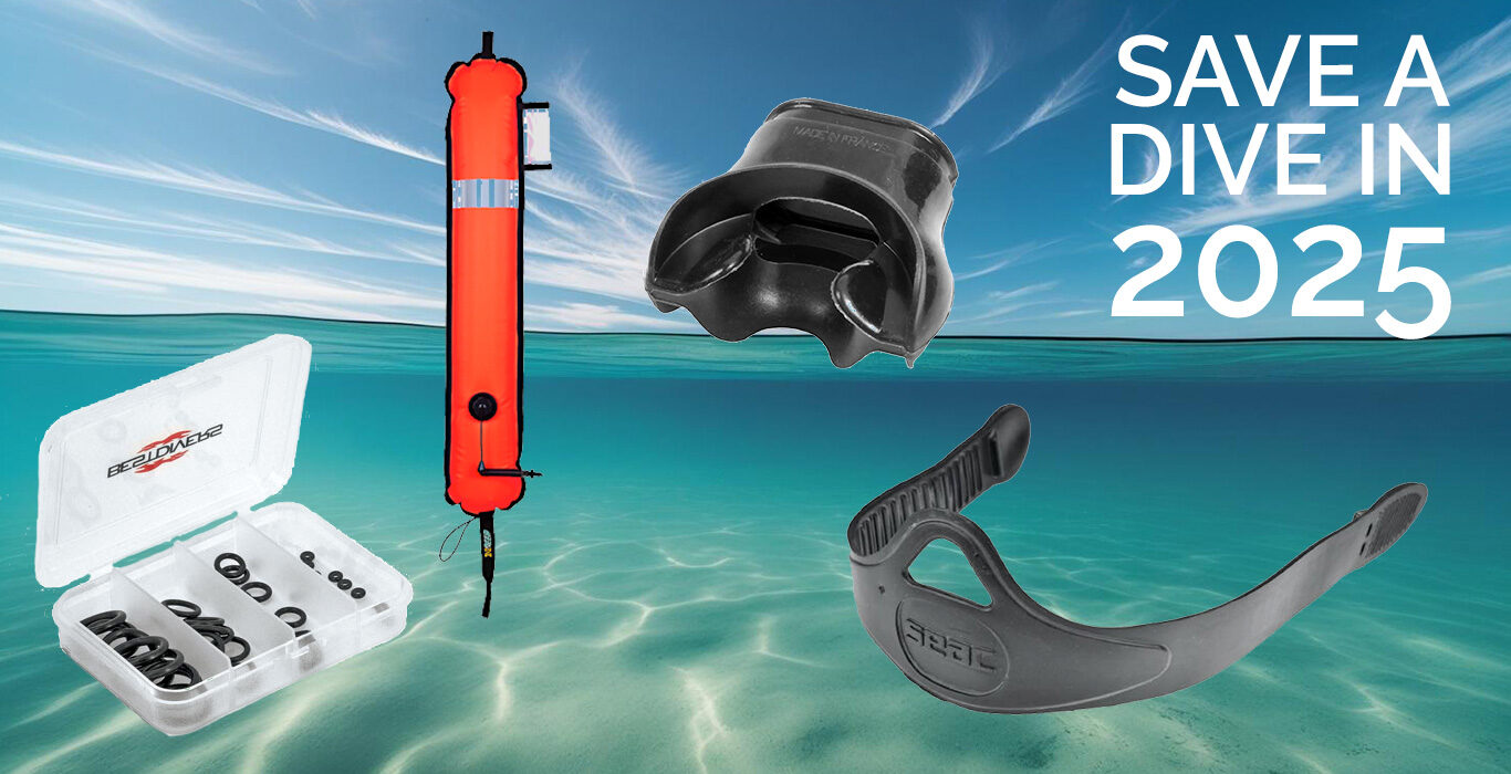The Top Ten Items To Save A Dive In 2025