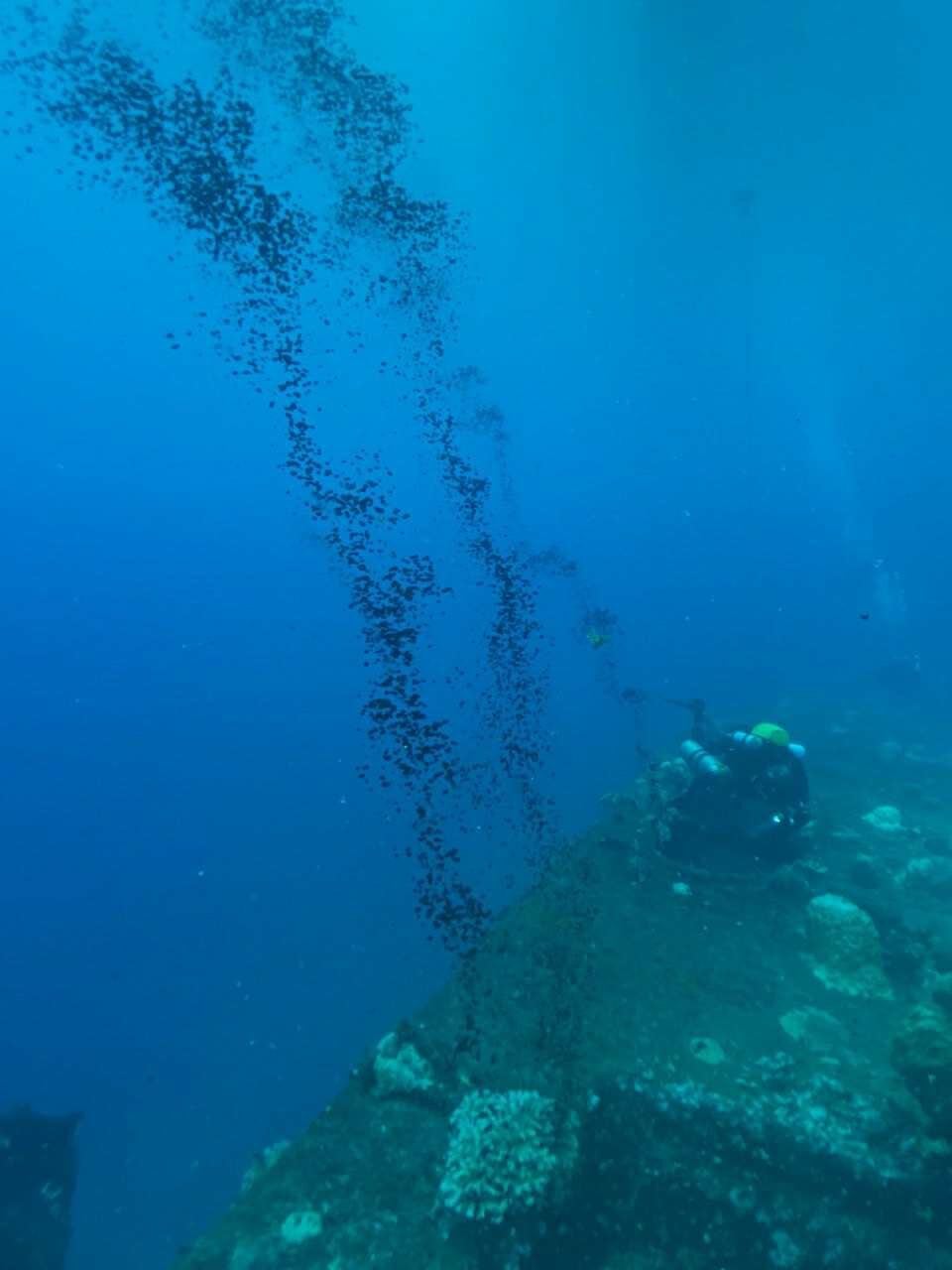 Chuuk Lagoon shipwreck starts leaking oil