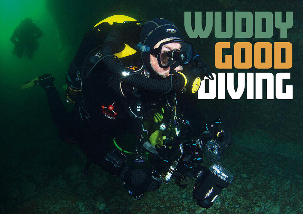 Wuddy Rocks Diving, Scotland: A Macro Photographer’s Dream in Berwickshire