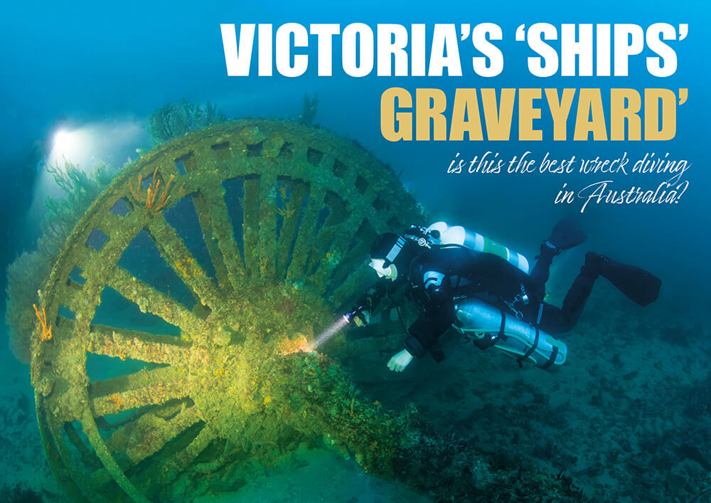 Australia’s Ultimate Wreck Diving: Exploring Victoria’s Shipwreck Graveyard